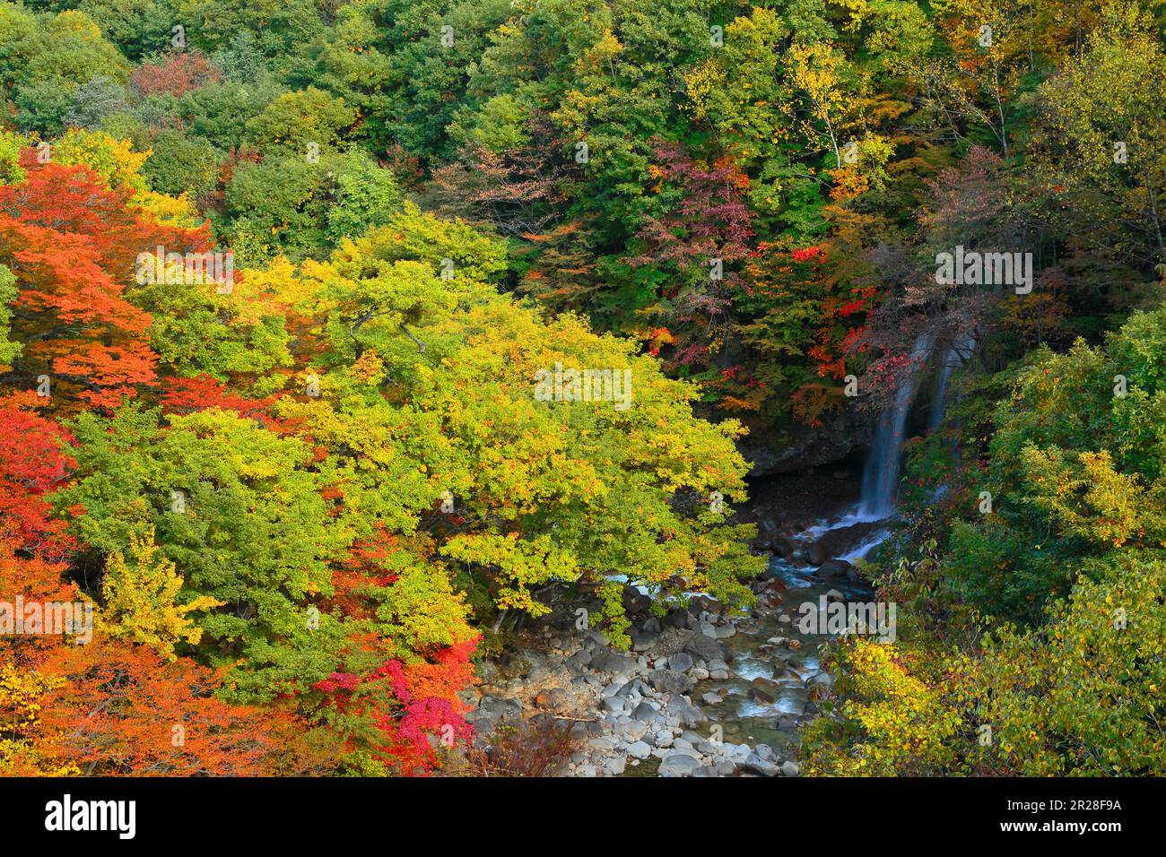 Autumn leaves of Matsukawa Valley Stock Photo - Alamy