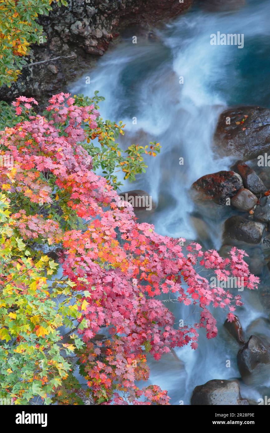 Matsukawa Ravine with autumn foliage Stock Photo - Alamy