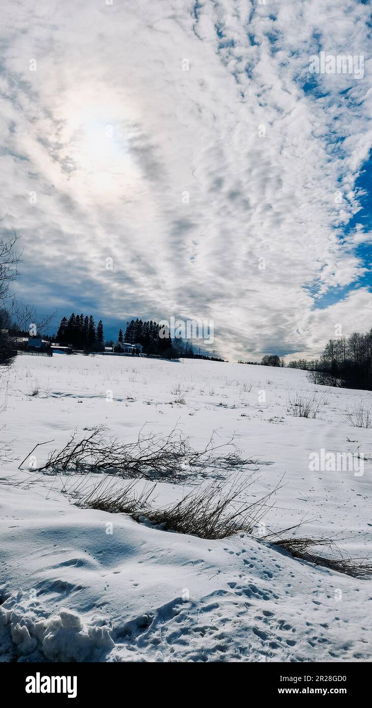 Panorama of beautiful winter landscape. Field of white snow and ice on ...