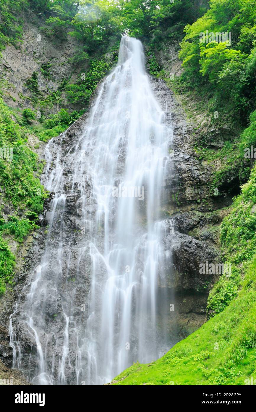 Kurokuma-falls in Shirakami mountains Stock Photo - Alamy