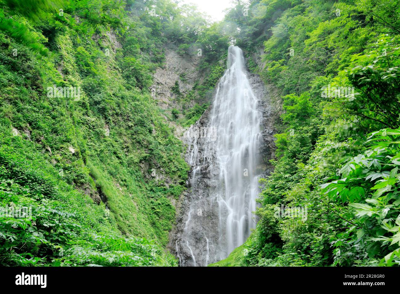 Kurokuma-falls in Shirakami mountains Stock Photo - Alamy