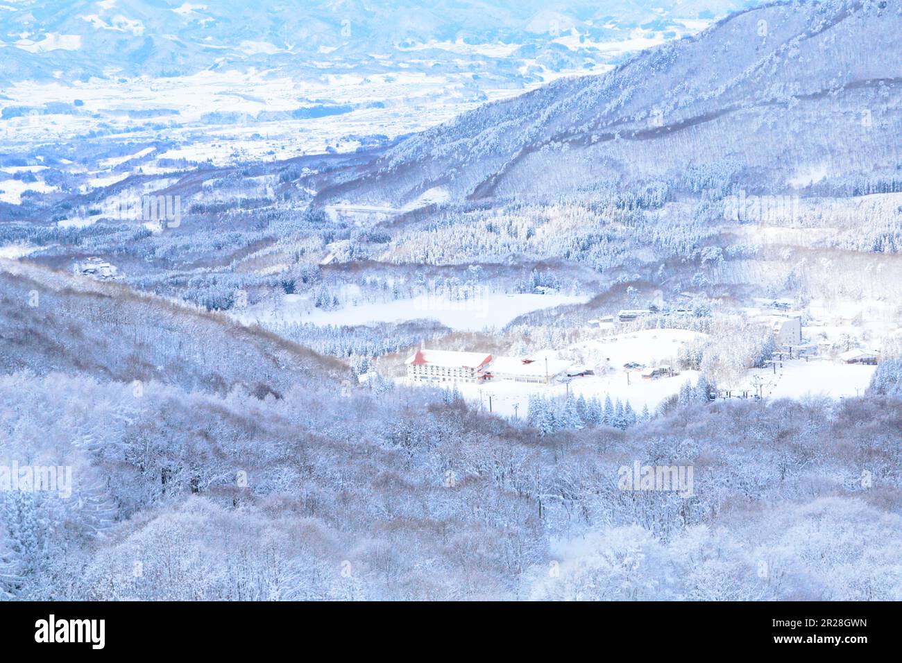 Trees on Mount Zao covered in frost Stock Photo - Alamy