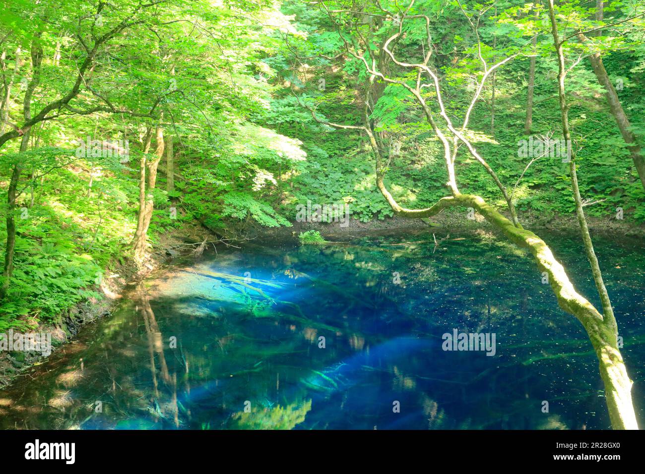 Juniko lake hi-res stock photography and images - Alamy