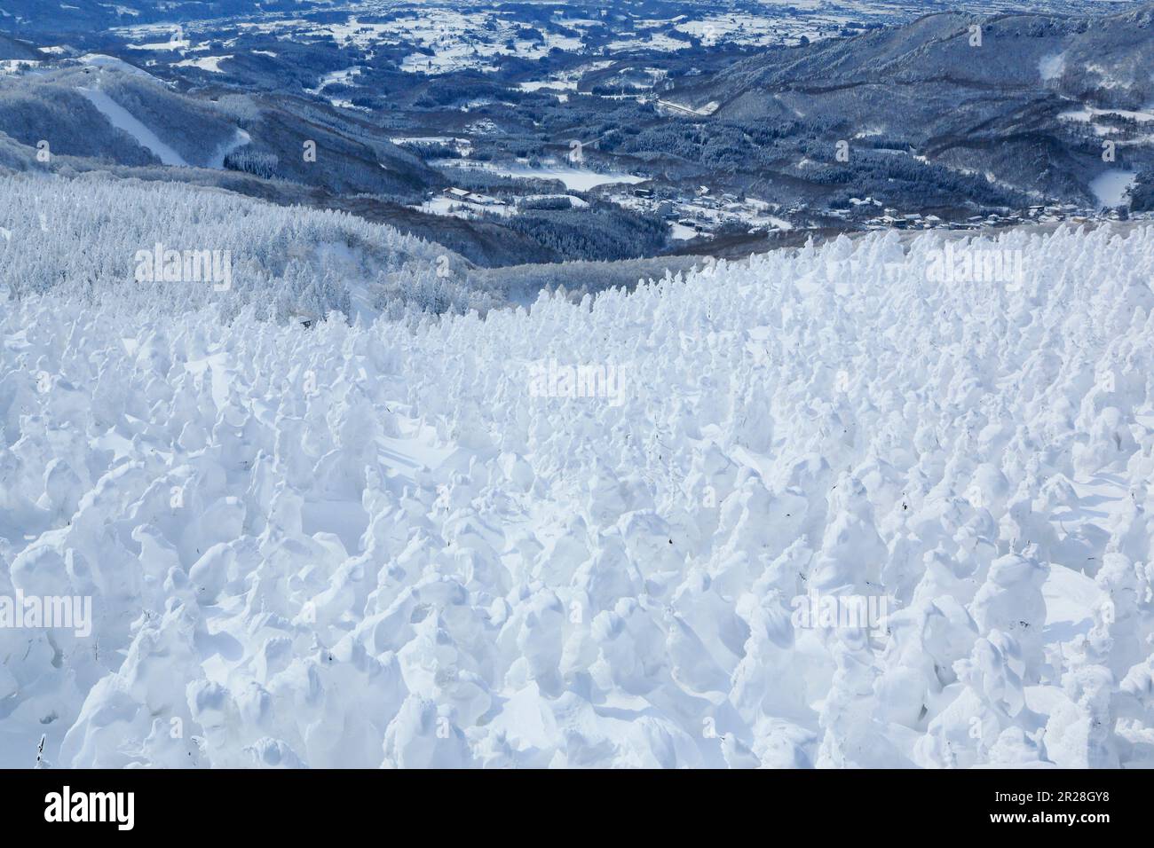 Trees on Mount Zao covered in frost Stock Photo - Alamy