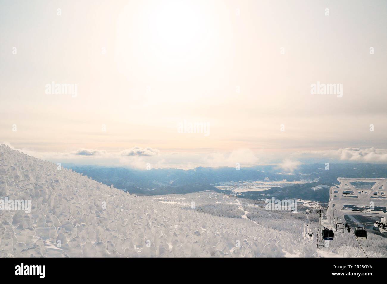 Trees on Mount Zao covered in frost Stock Photo - Alamy