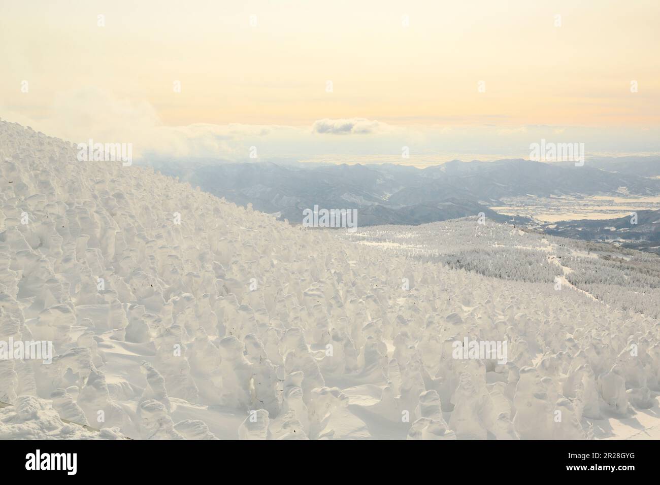 Trees on Mount Zao covered in frost Stock Photo - Alamy