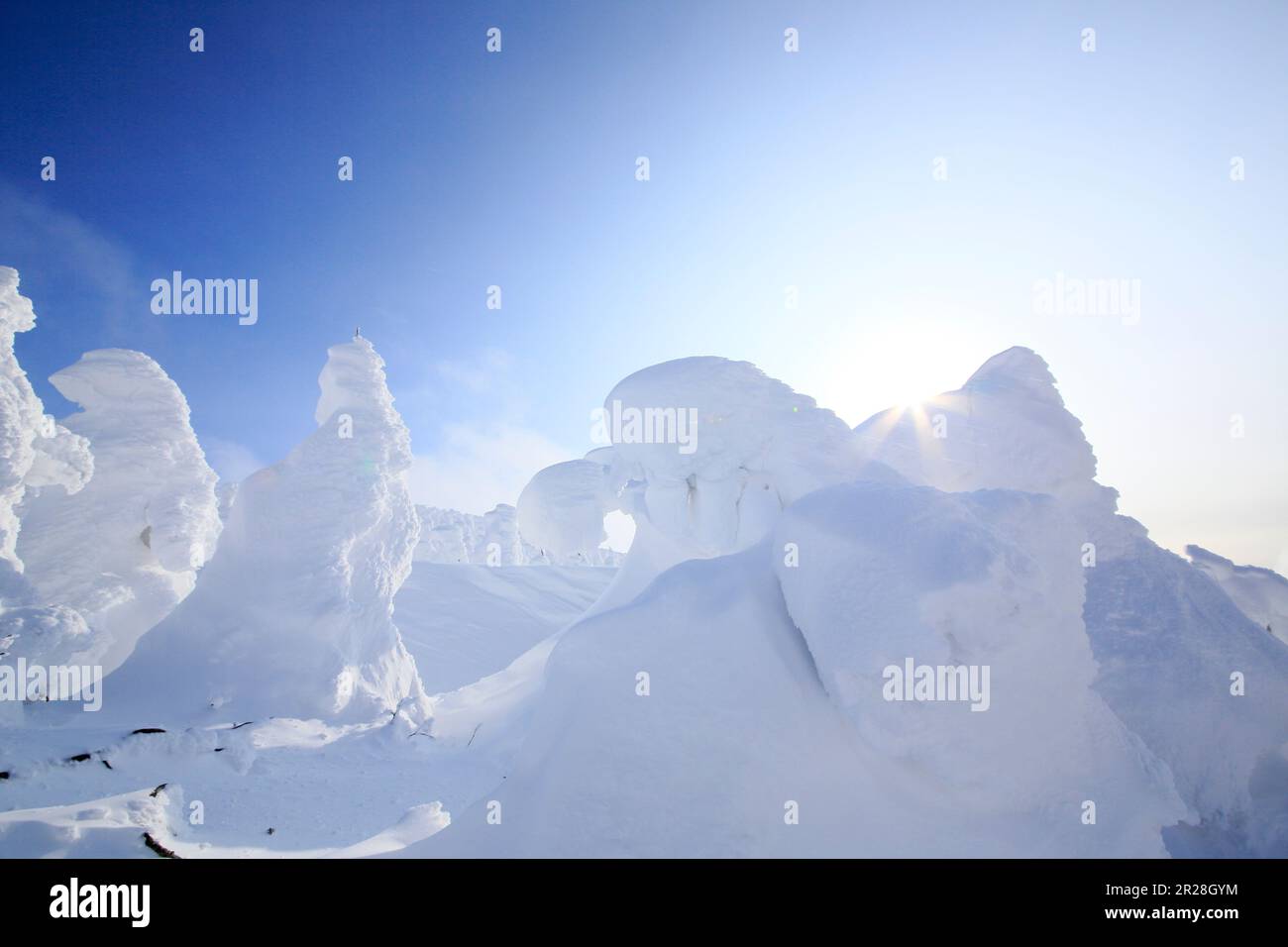 Trees on Mount Zao covered in frost Stock Photo - Alamy
