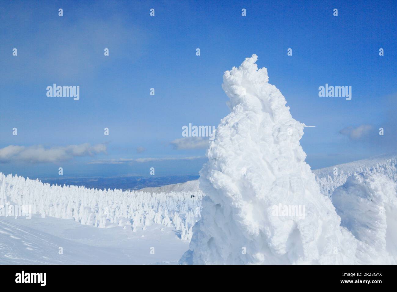 Trees on Mount Zao covered in frost Stock Photo - Alamy