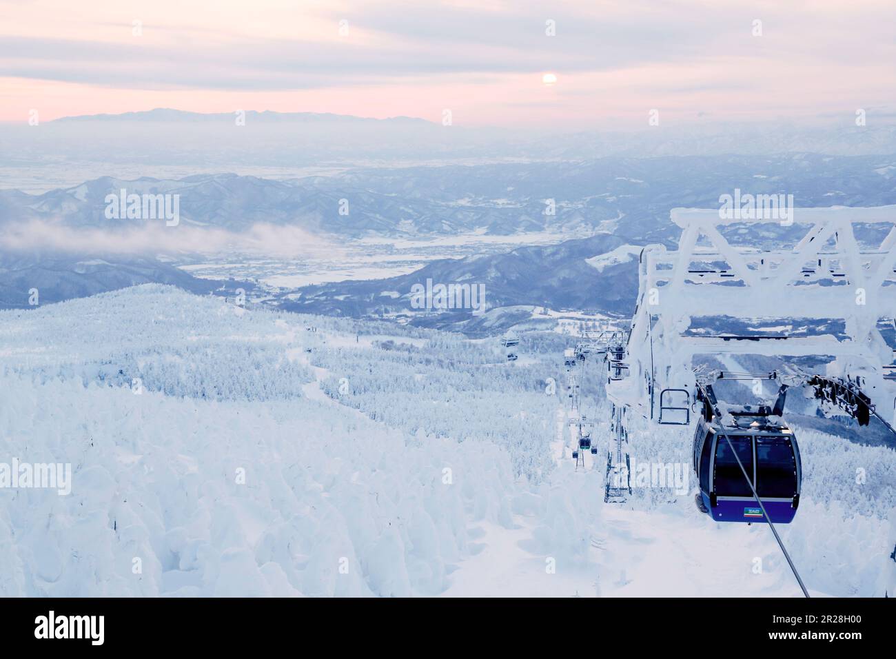 Trees on Mount Zao covered in frost Stock Photo - Alamy