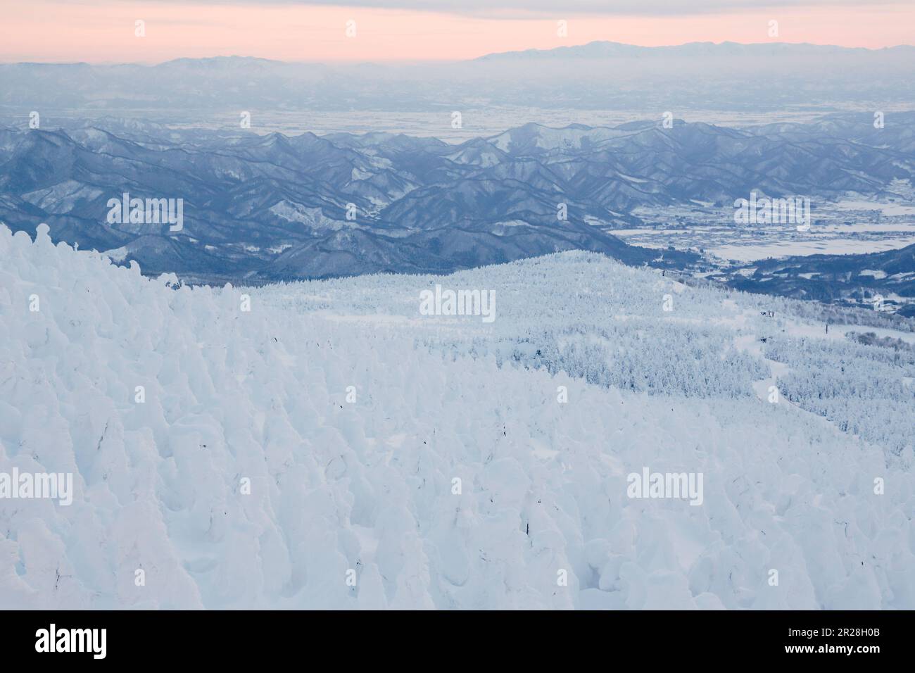 Trees on Mount Zao covered in frost Stock Photo - Alamy