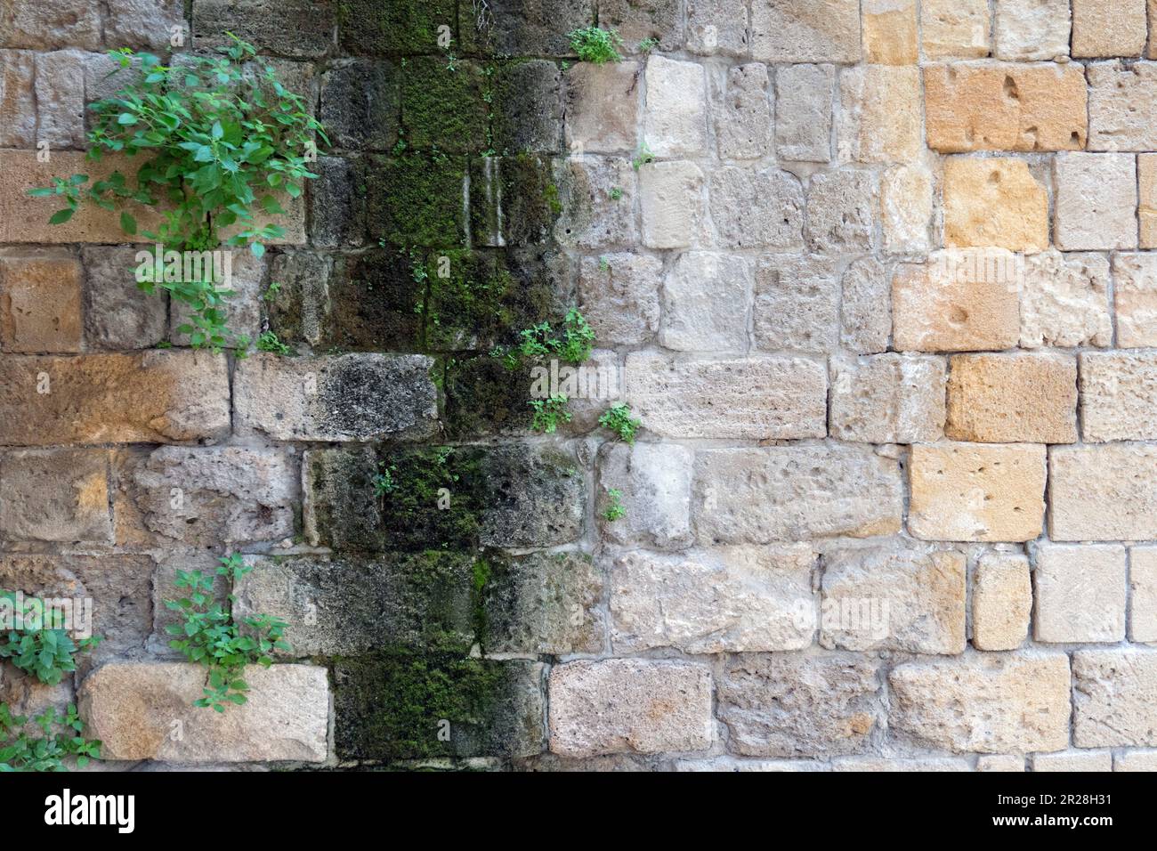 An ancient wall with moss in Kyrenia, North Cyprus Stock Photo - Alamy