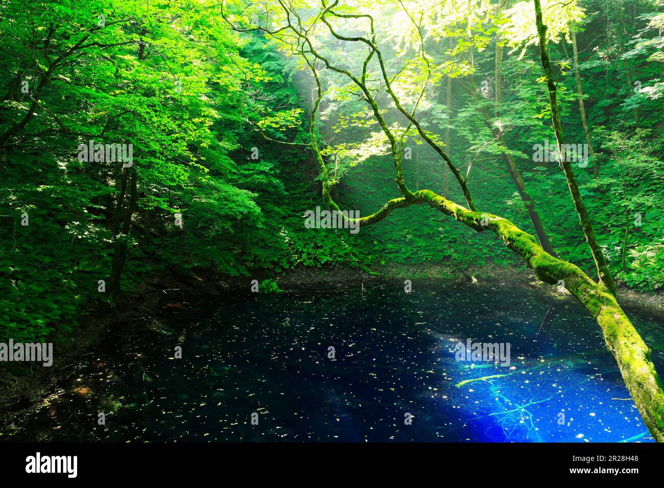 Juniko lake hi-res stock photography and images - Alamy