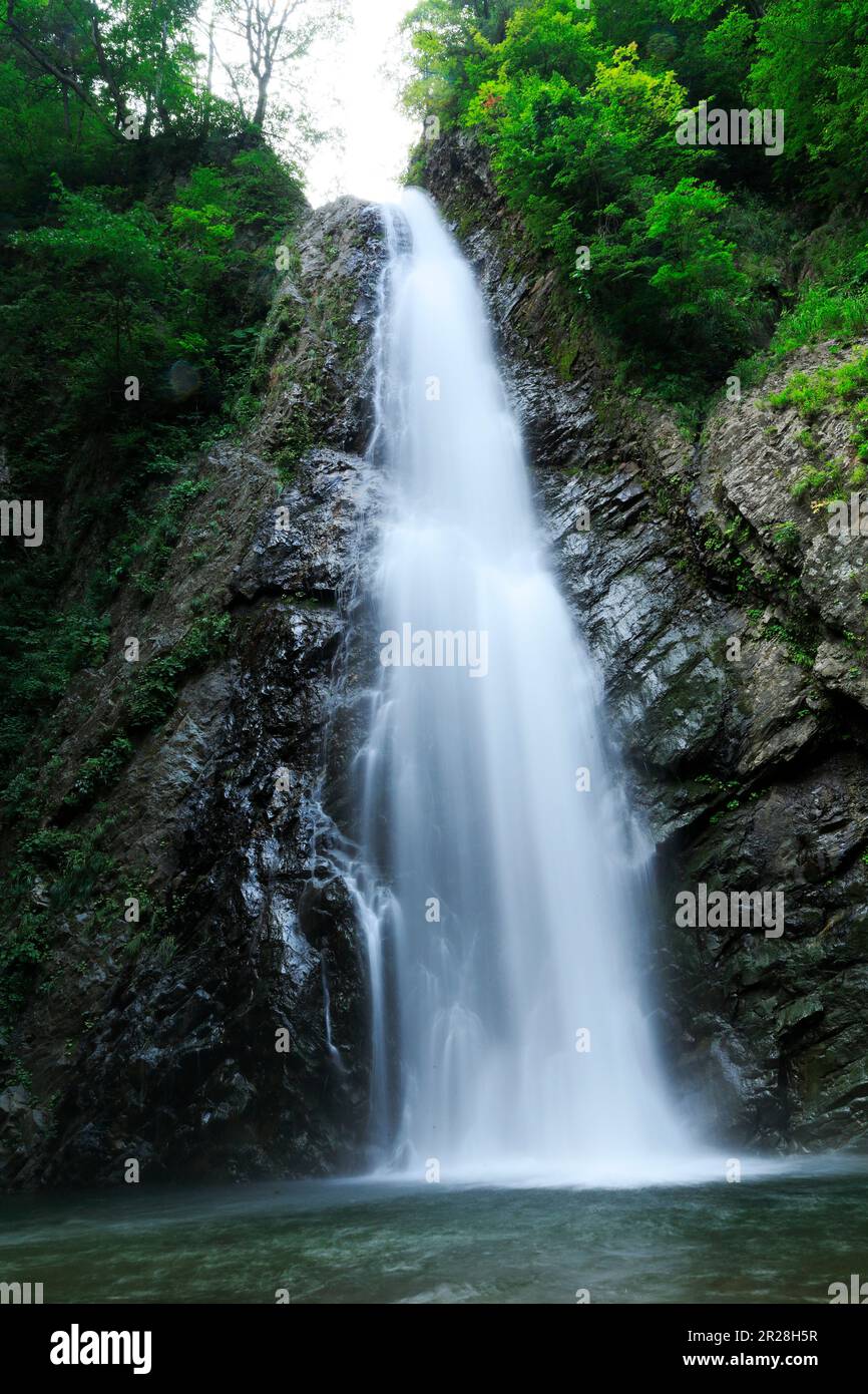 Anmon waterfall (second waterfall) and Shirakami mountain ranges Stock ...