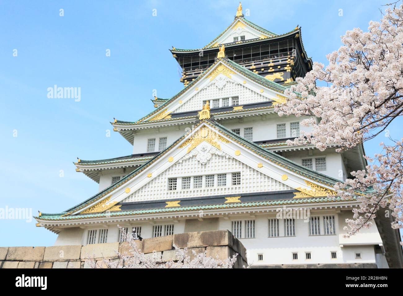 The cherry tree of Osaka Castle Park Stock Photo - Alamy