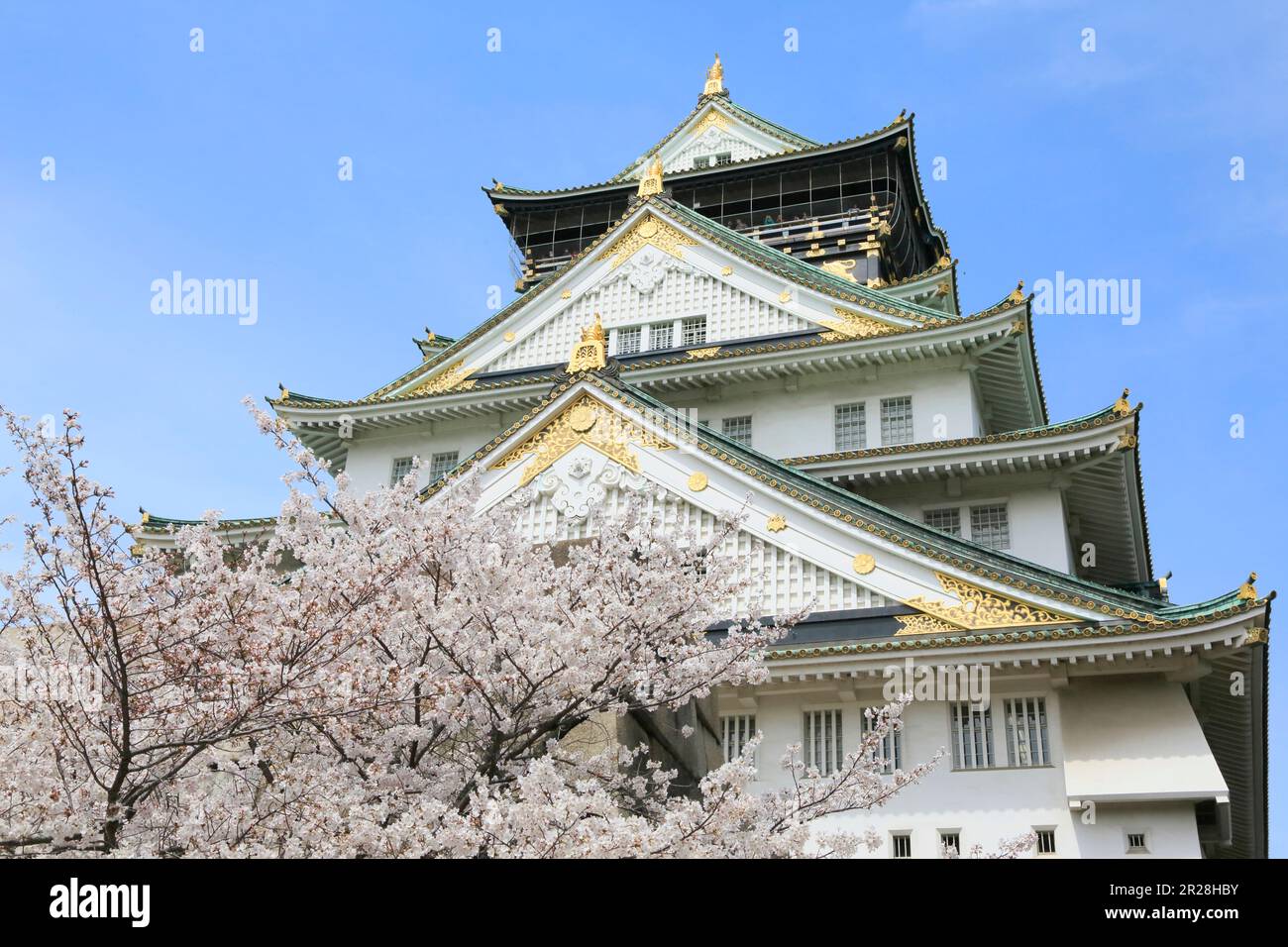 The cherry tree of Osaka Castle Park Stock Photo - Alamy