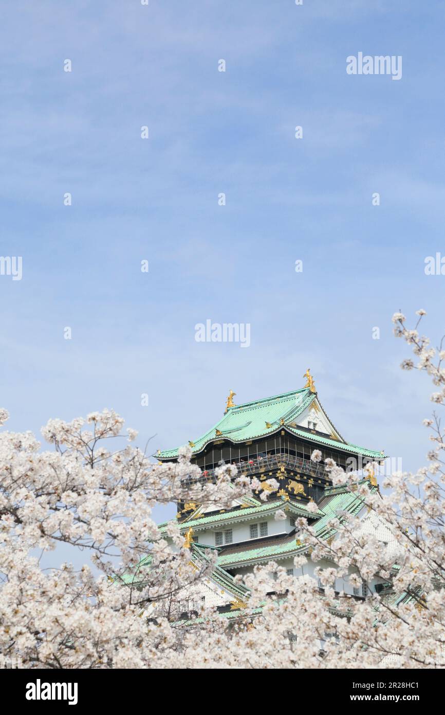 The cherry tree of Osaka Castle Park Stock Photo - Alamy