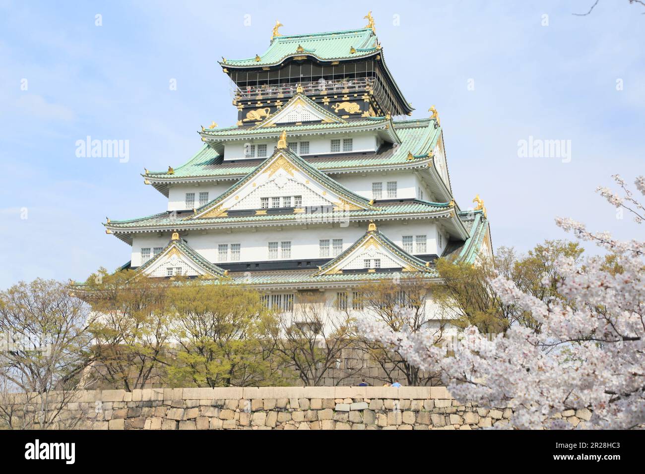 The cherry tree of Osaka Castle Park Stock Photo - Alamy