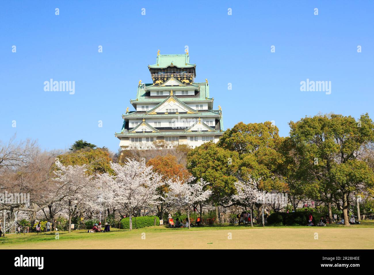 The cherry tree of Osaka Castle Park Stock Photo - Alamy