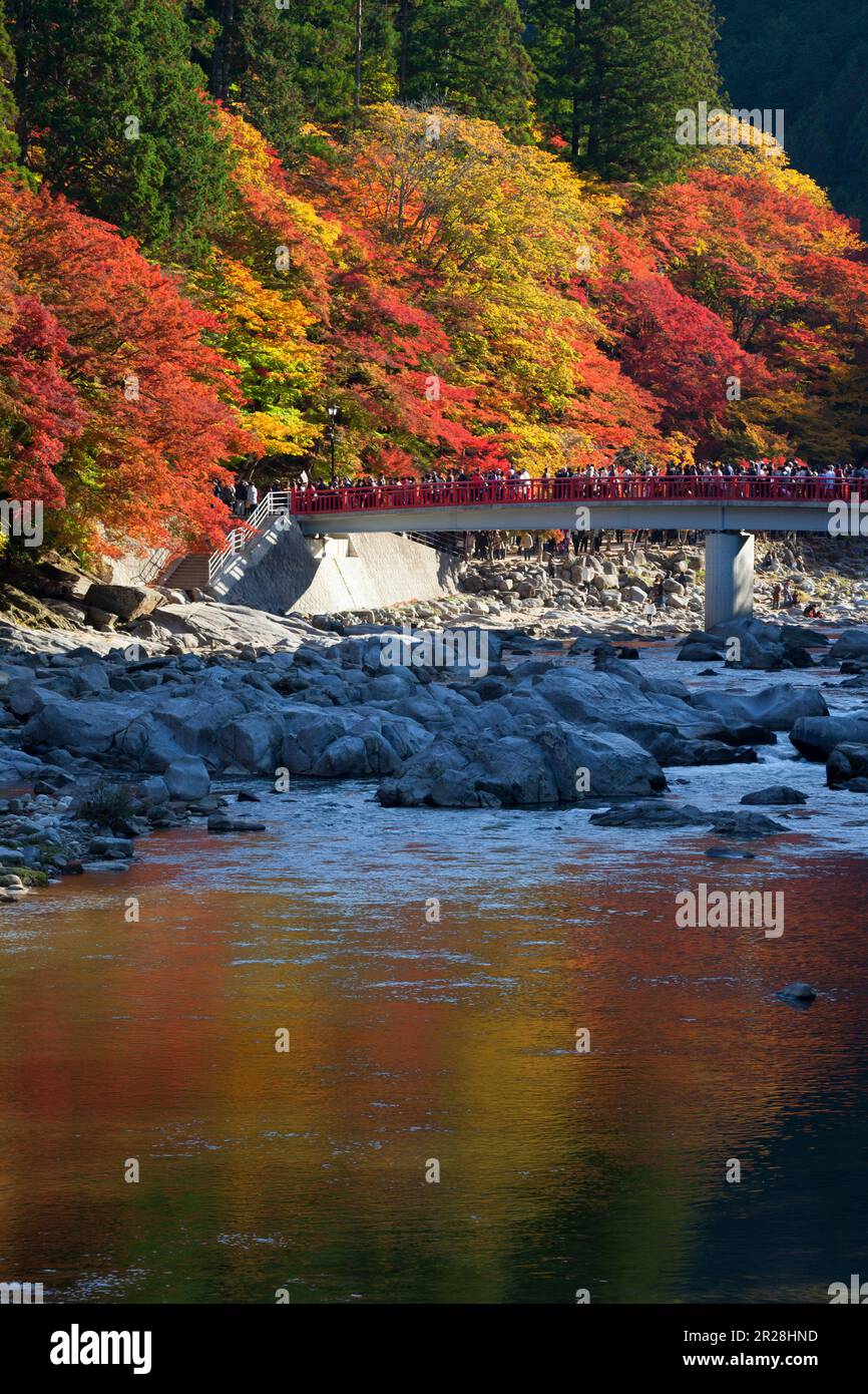 Tomoegawa River and Taigetsukyo Bridge in Korankei Valley with fall ...