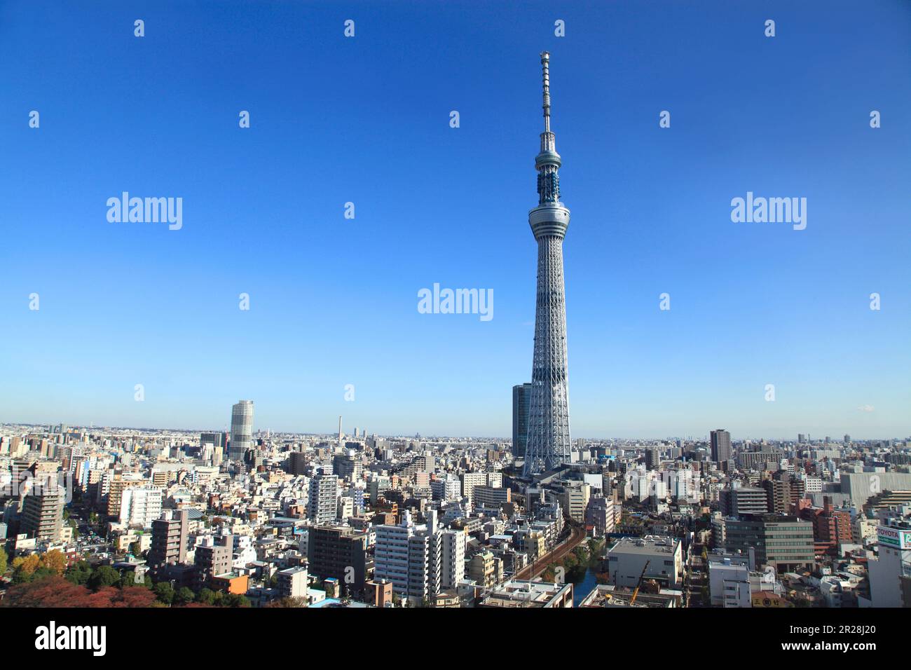 Tokyo Sky Tree Stock Photo - Alamy