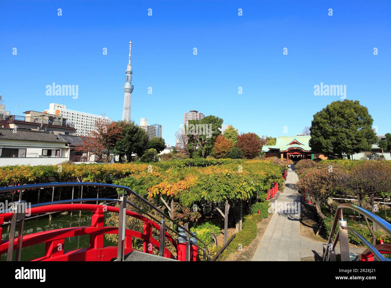 Tokyo Sky Tree Stock Photo - Alamy