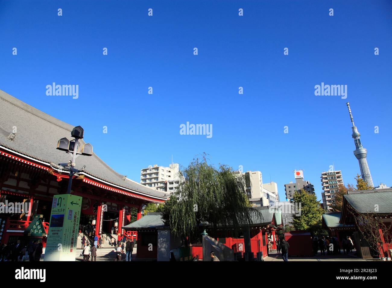 Sensoji temple and Tokyo sky tree Stock Photo - Alamy