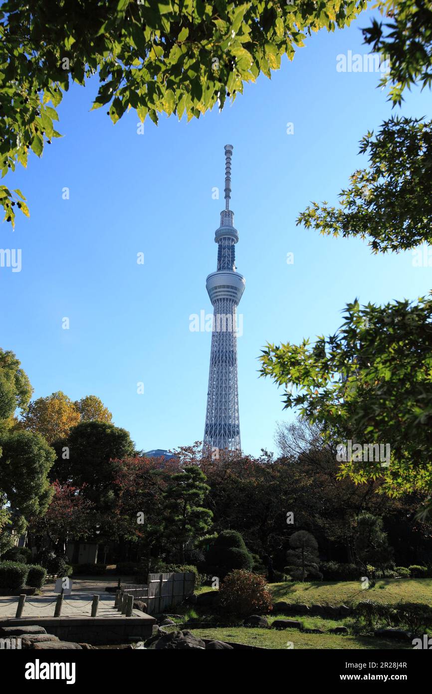 Tokyo sumida park hi-res stock photography and images - Alamy