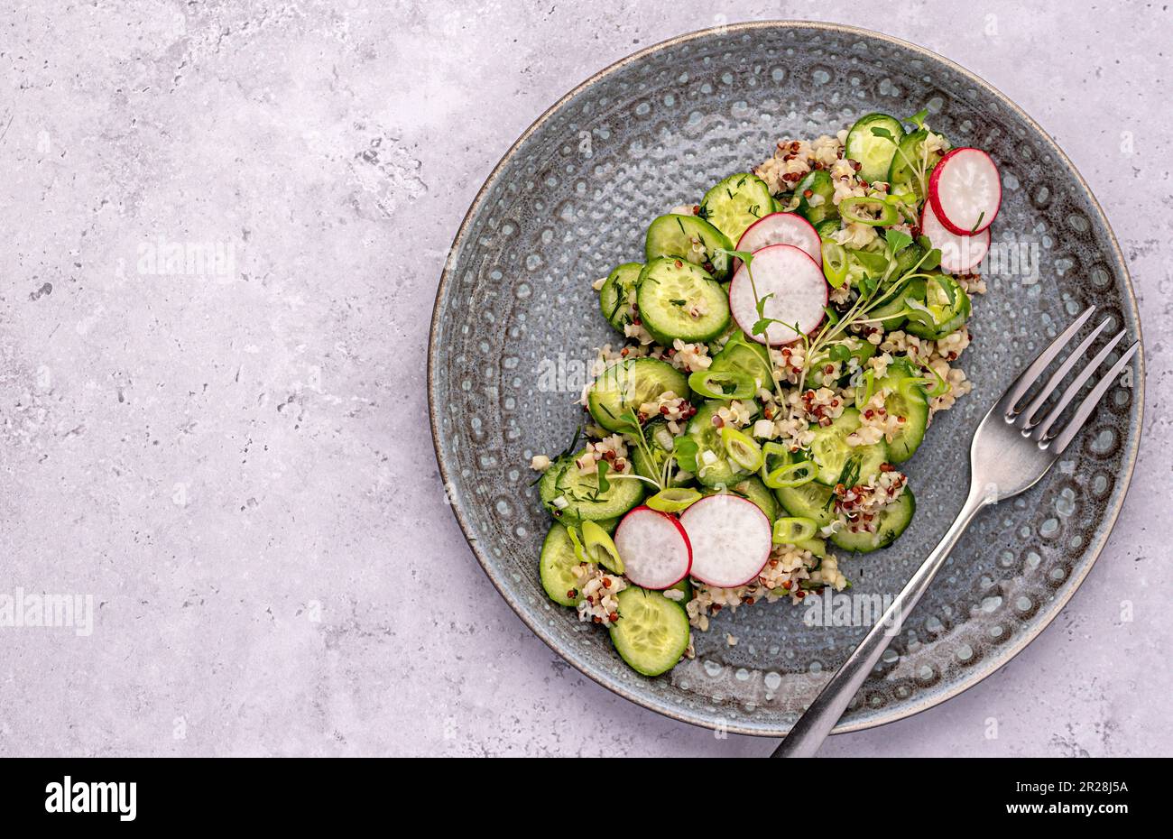 Blank food photography of salad; cucumber, radish, onion, dill, bulgur ...