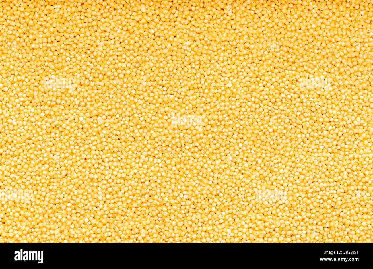 Macro blank photography of raw millet, cereal, grain, groat, health ...
