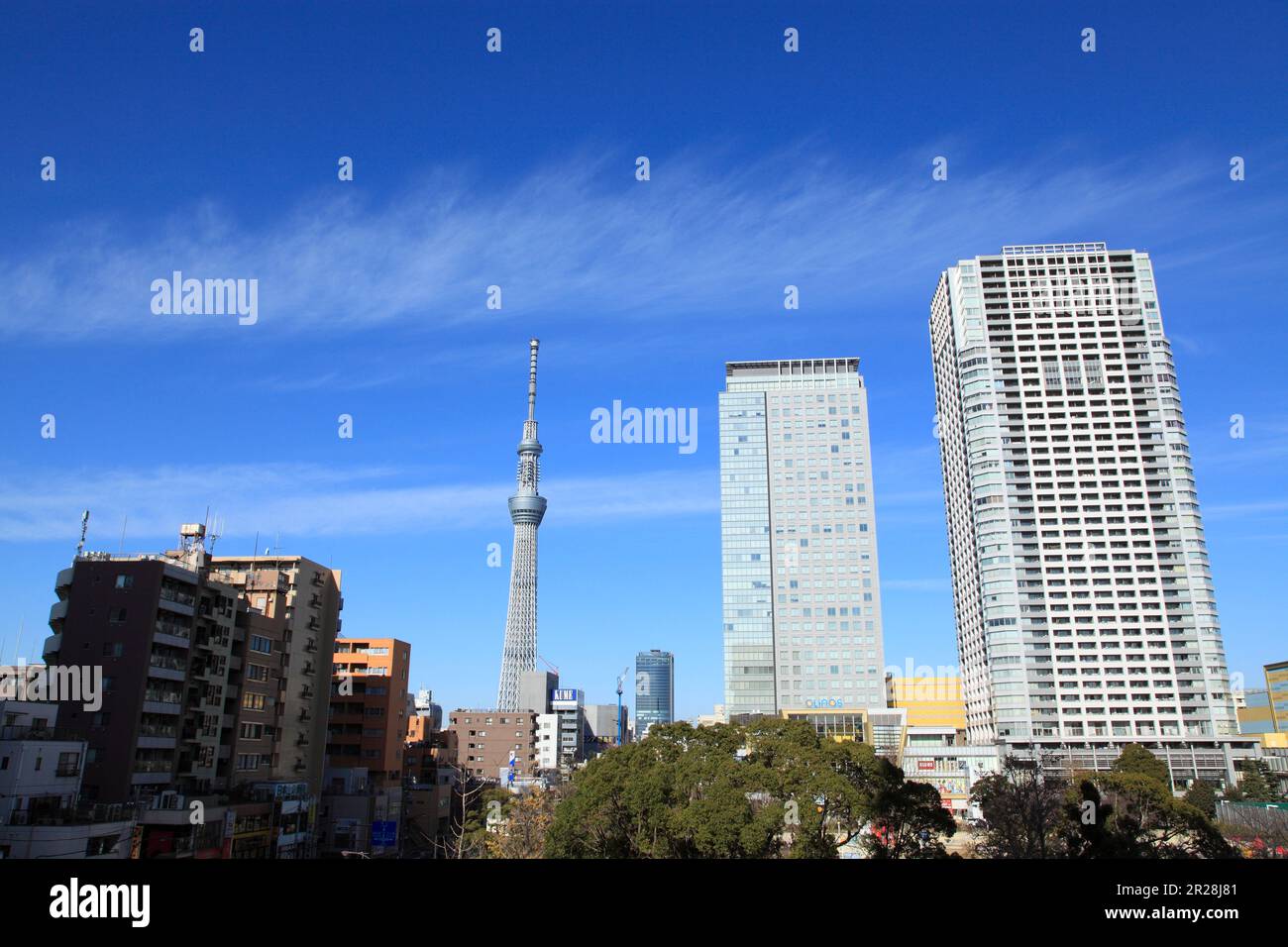 The Kinshi Park and the Tokyo sky tree Stock Photo - Alamy