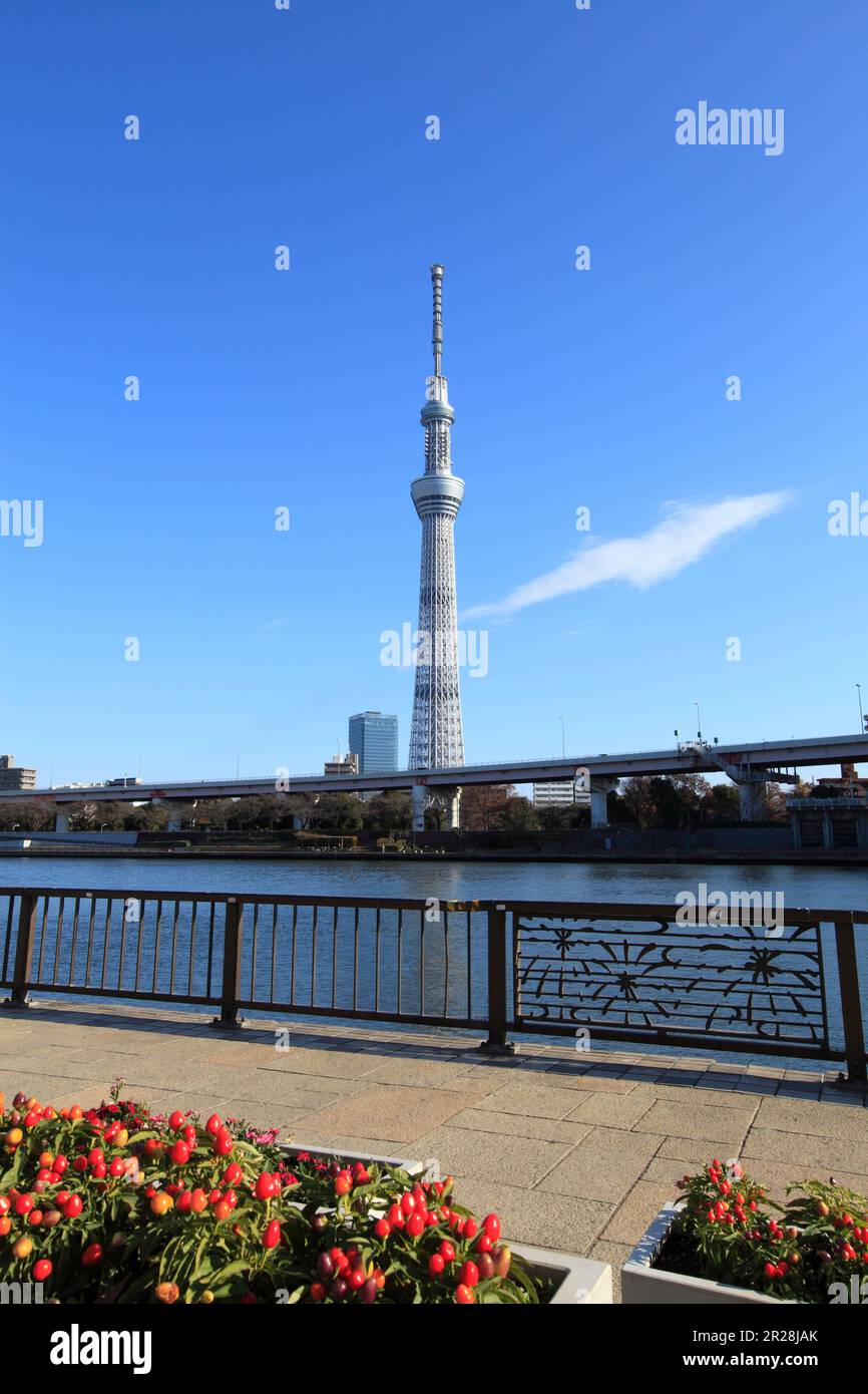 Tokyo sky tree and Sumida river terrace Stock Photo - Alamy
