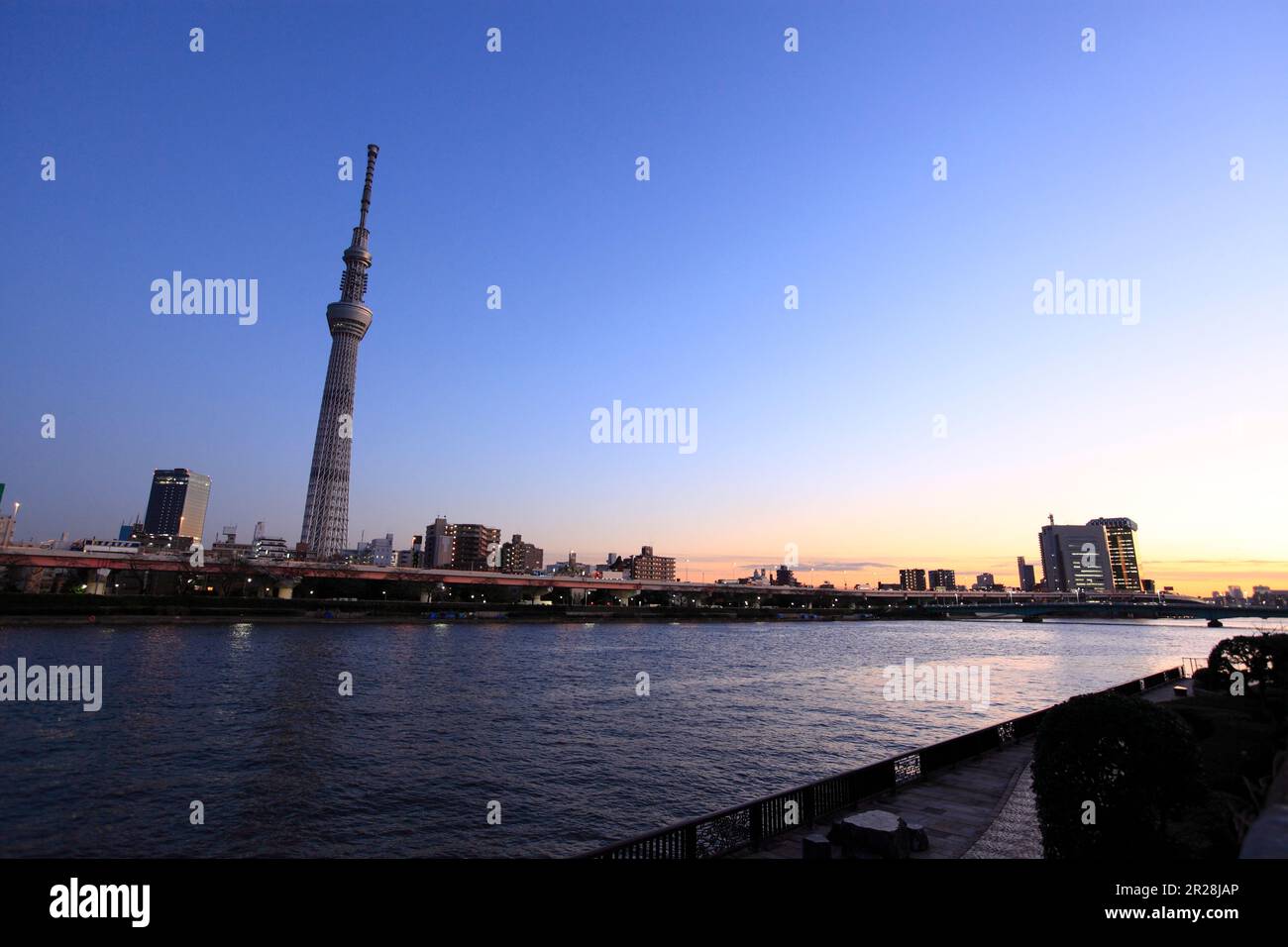 Tokyo Sky Tree at sunset Stock Photo - Alamy