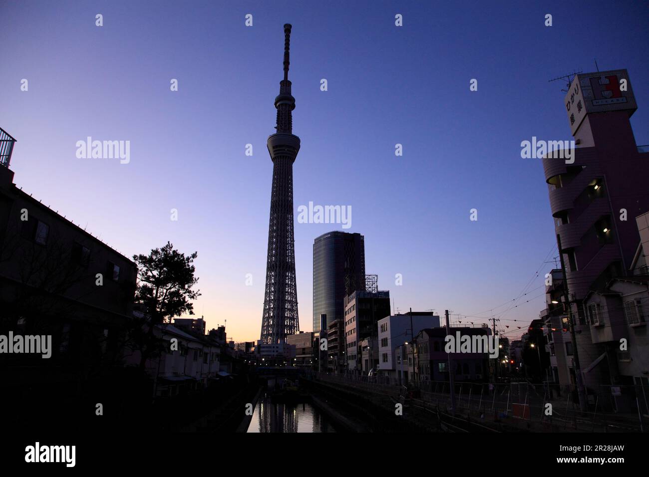 Tokyo Sky Tree at sunset Stock Photo - Alamy