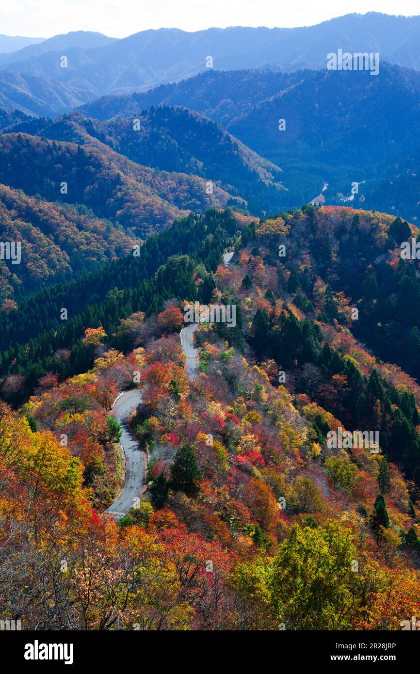 Onyutoge pass and fall colors Stock Photo - Alamy