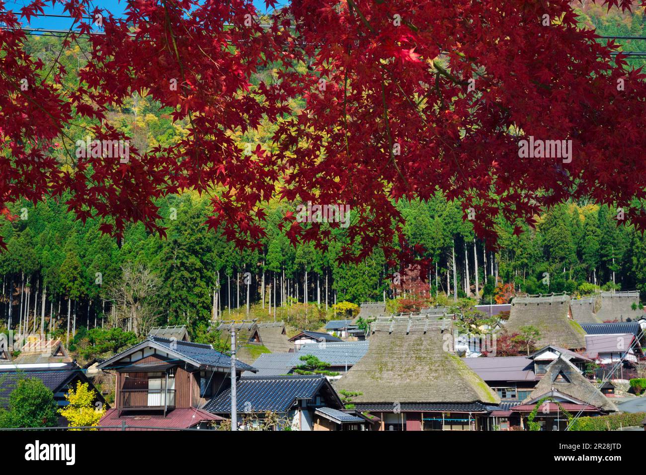 Miyama Kayabukinosato fall leaves Stock Photo - Alamy