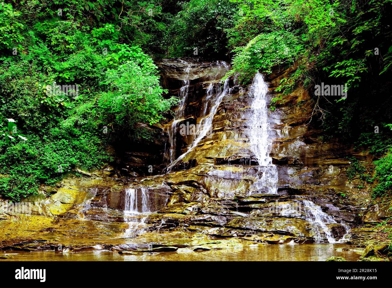 Yoro keikoku okukiyosumi prefectural natural park hi-res stock ...