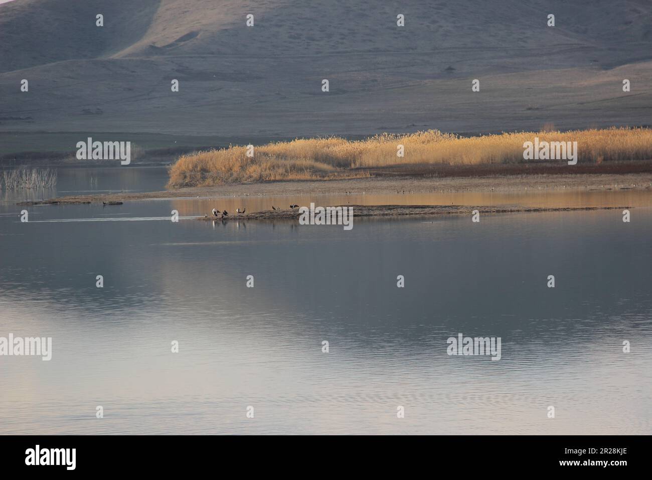 Fuzuli City after The Second Nagorno-Karabakh War. The city had a ...