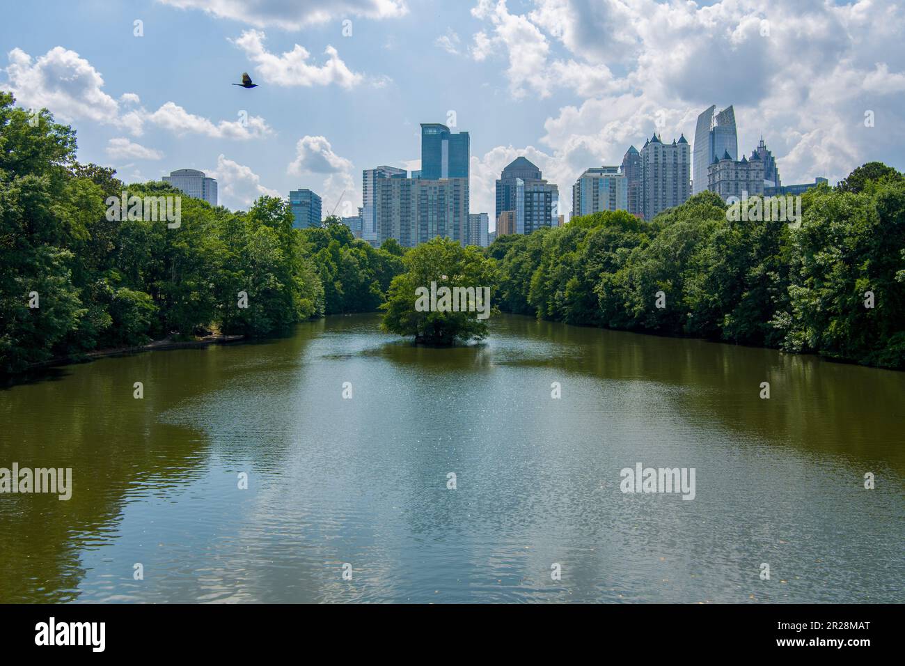 The midtown Atlanta skyline from Piedmont Park Stock Photo - Alamy
