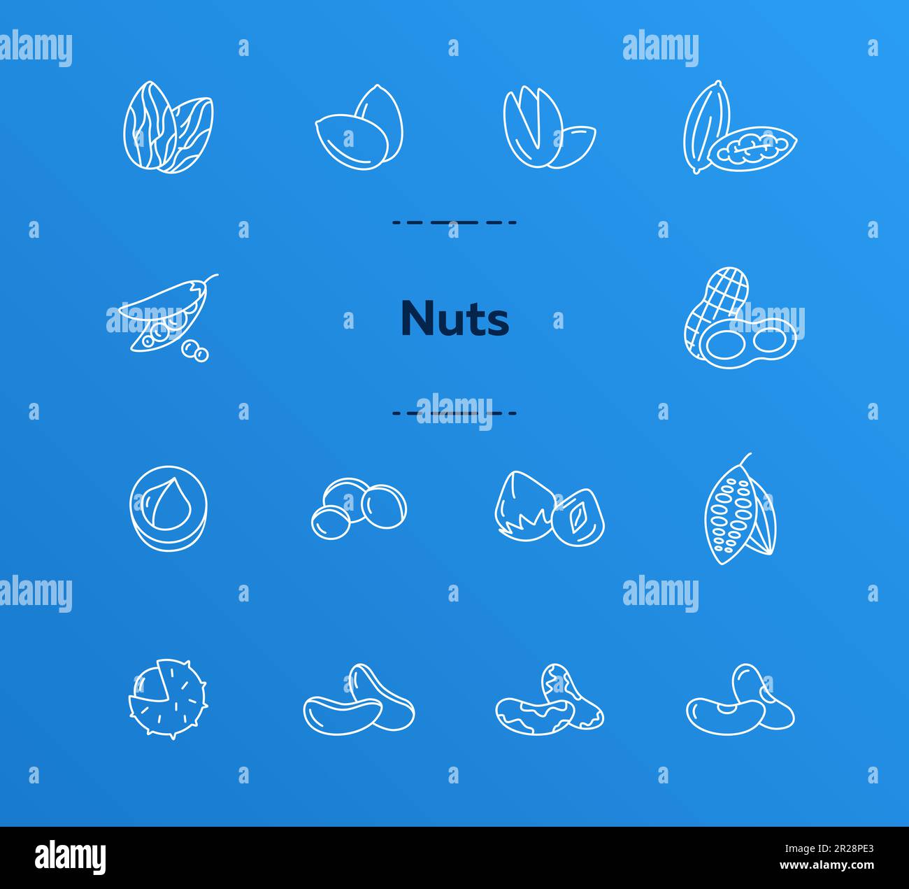 Peanut pumpkin Stock Vector Images - Alamy