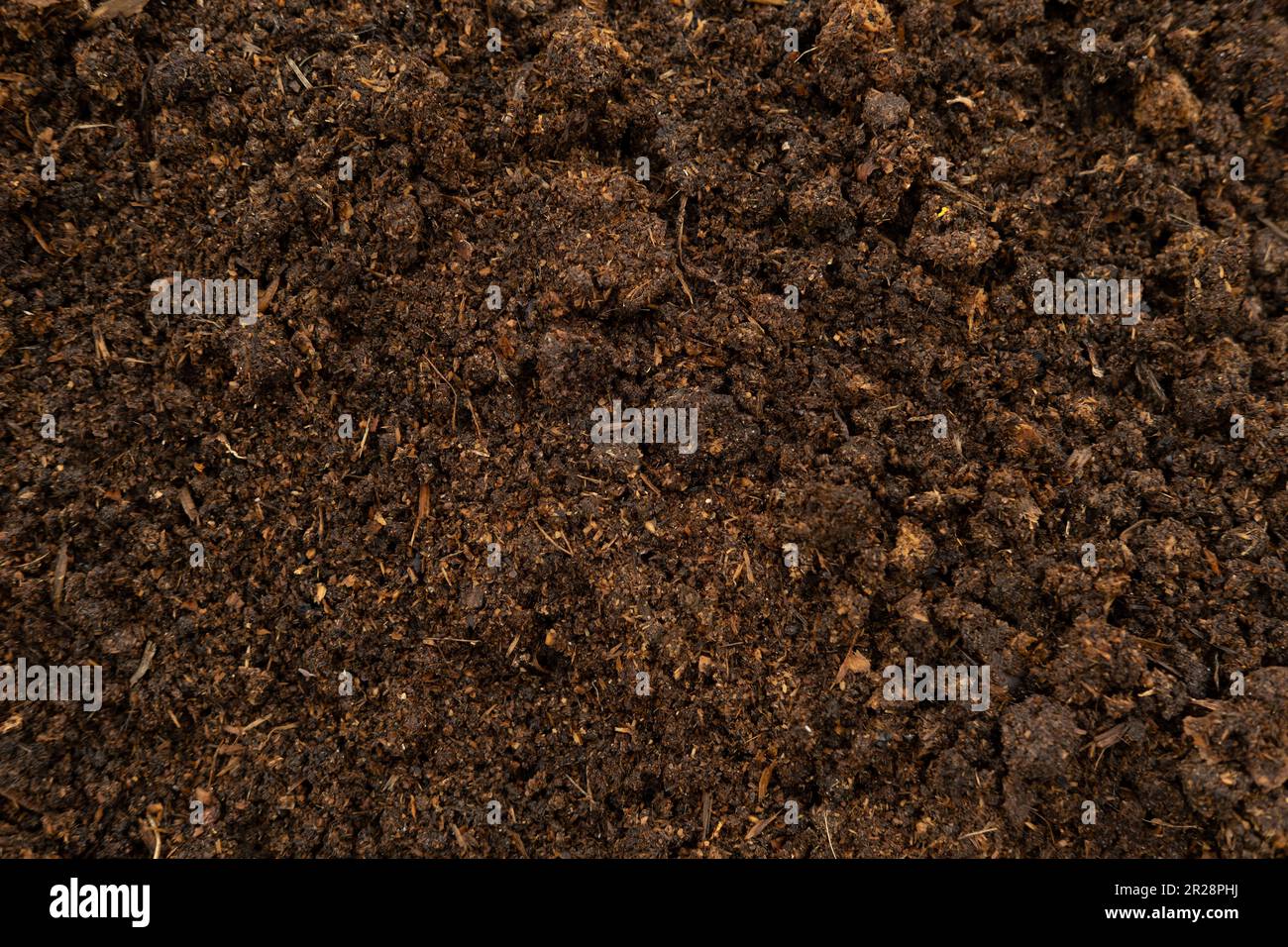 Horse Manure Compost for cultivation, agriculture. Natural Eco Bio ...