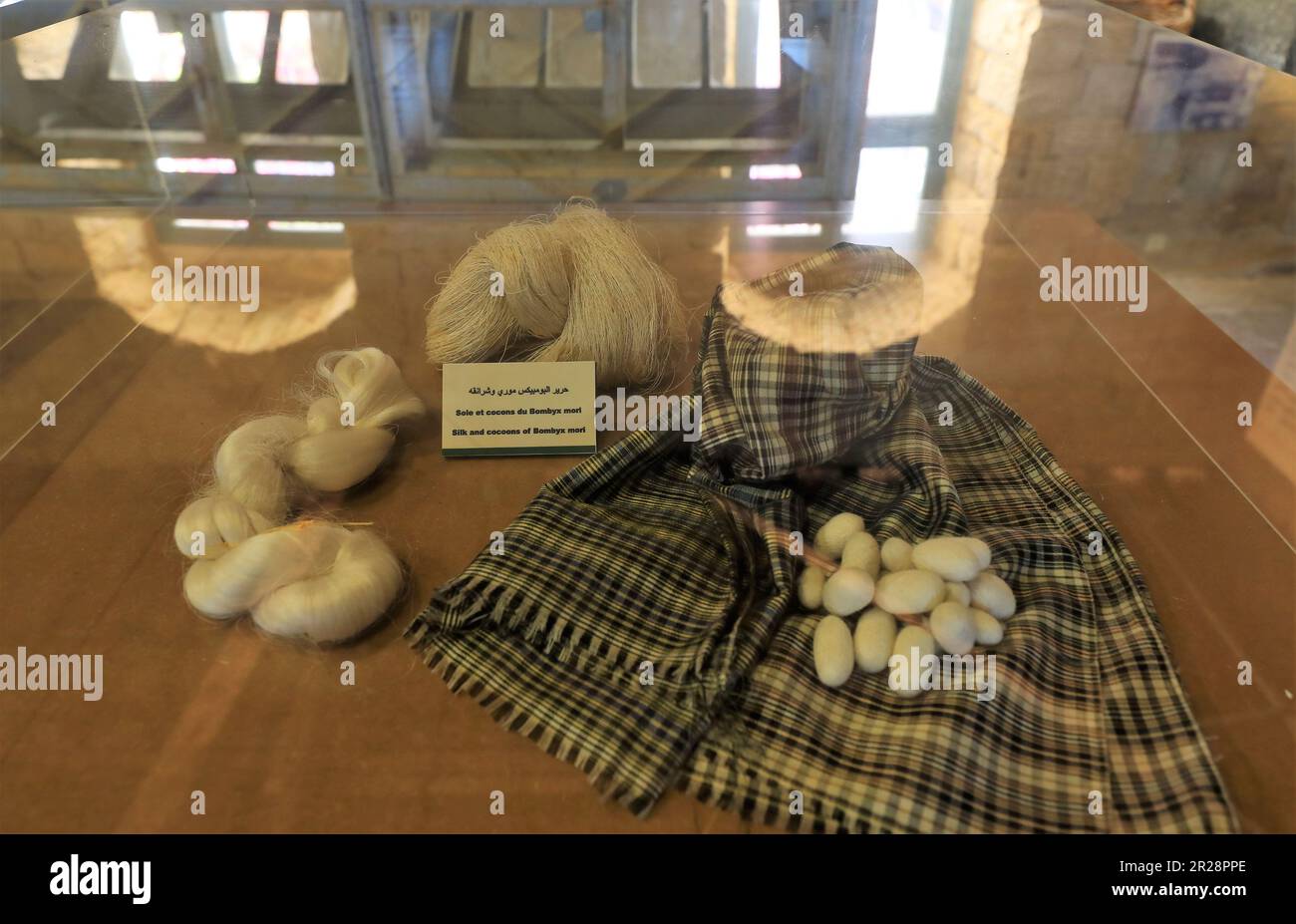Bsous, Lebanon. 17th May, 2023. Silk and cocoons are displayed in the ...
