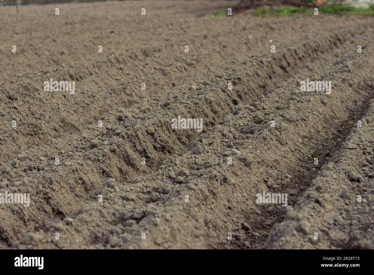Beautiful vegetable garden with greenhouses potato beds and black soil ...