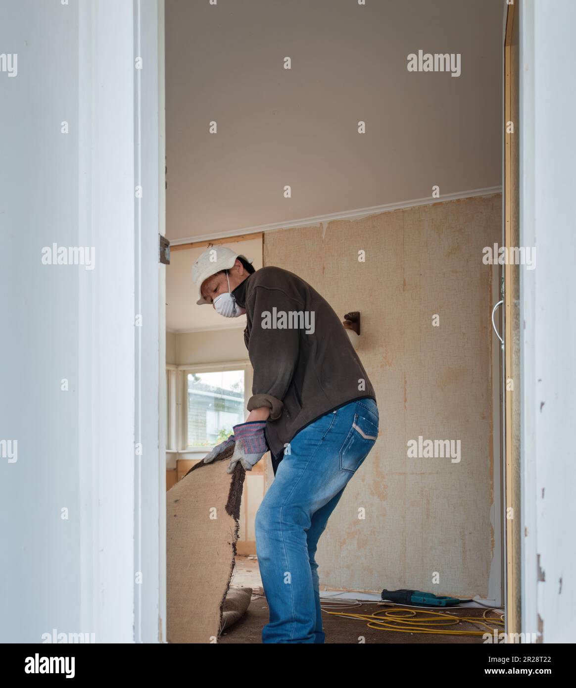 Man pulling up and removing damaged carpet. Clean up after Auckland ...