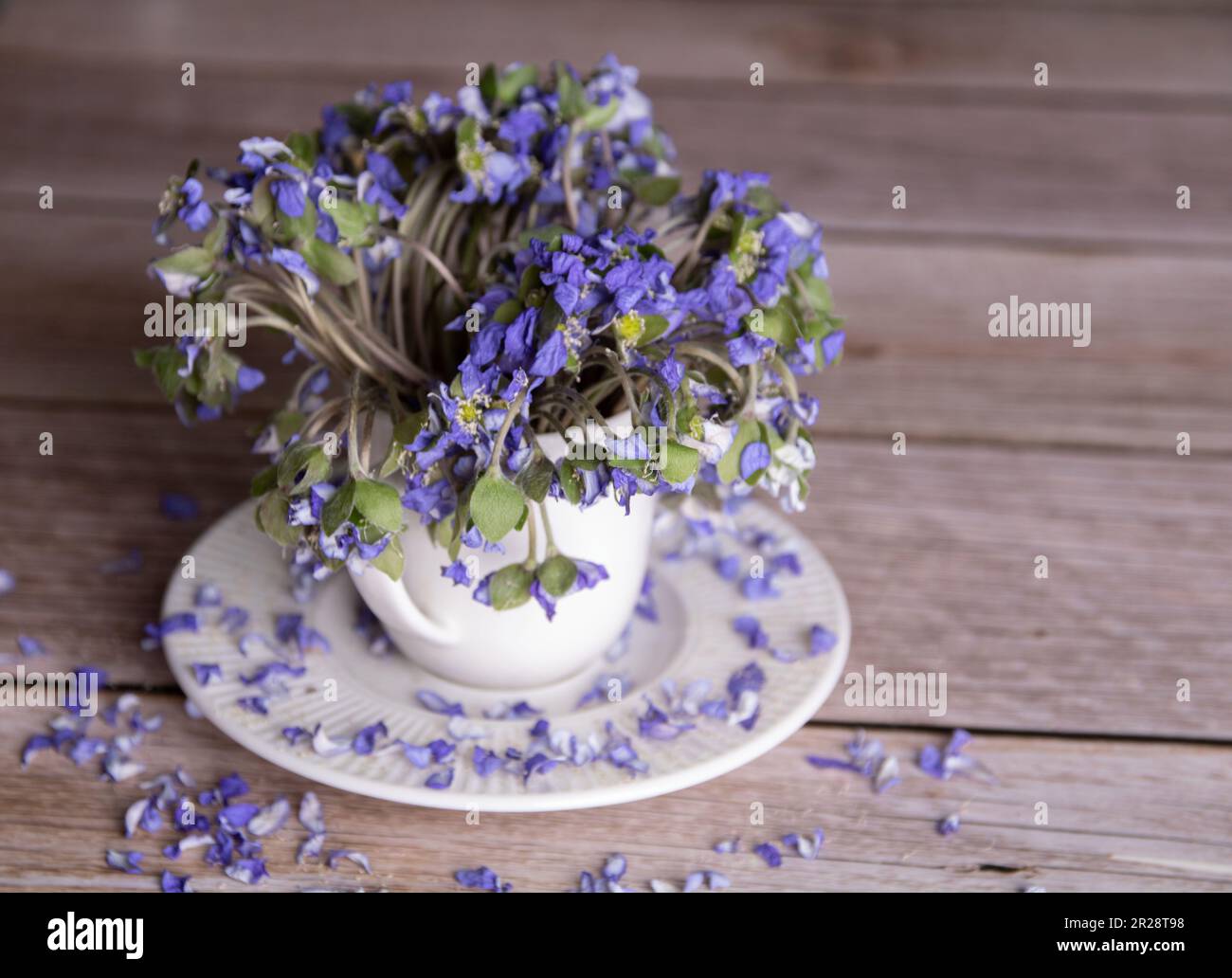 Colorful flowers in mug hi-res stock photography and images - Alamy