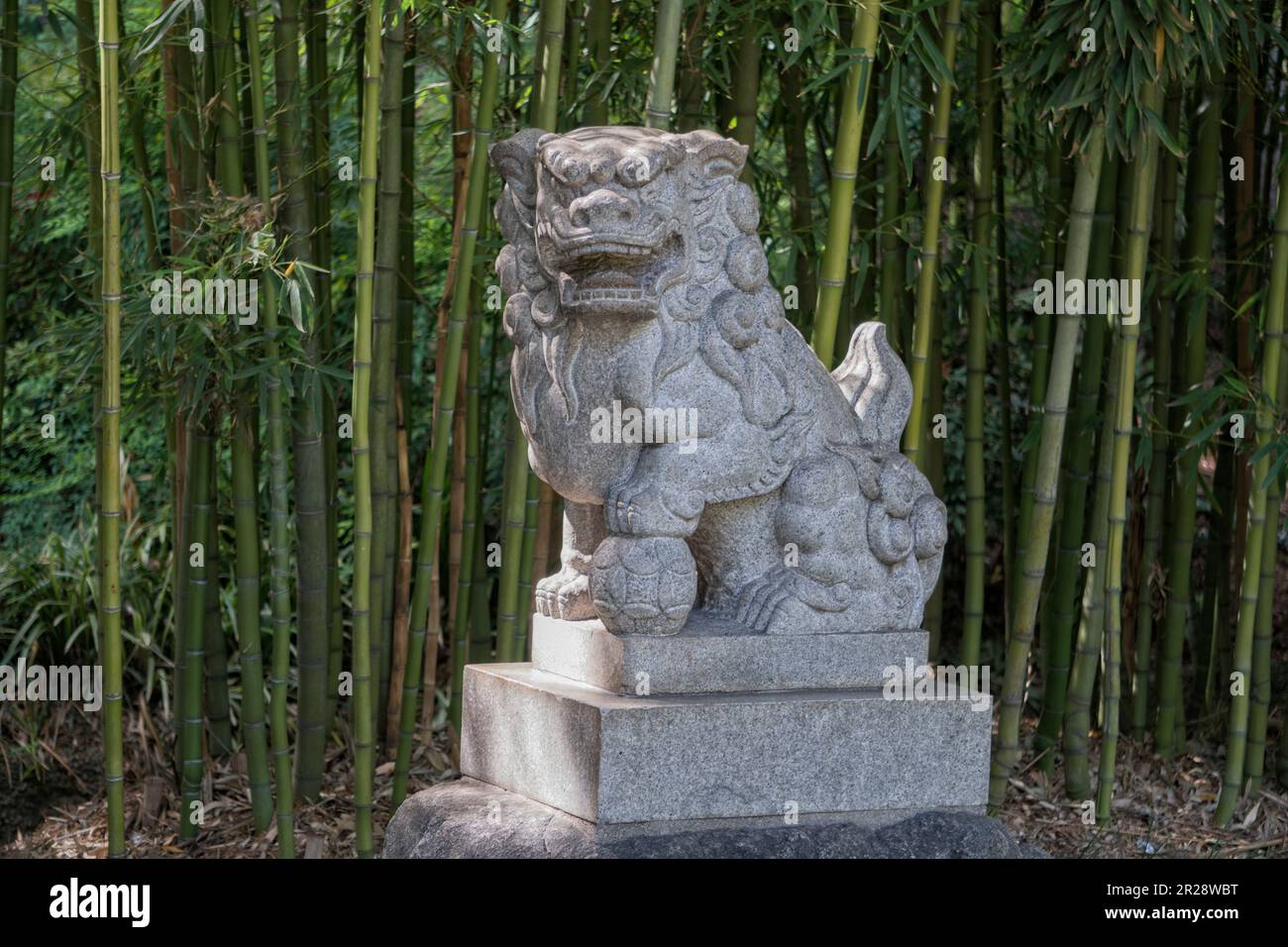 Statue of Chinese guardian lion in a bamboo forest Stock Photo - Alamy