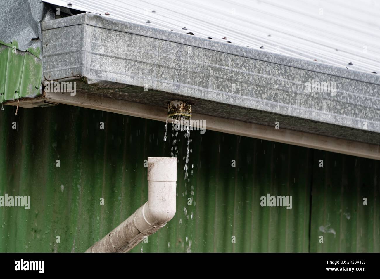 A down spout has come loose so the water it is meant to be catching is ...