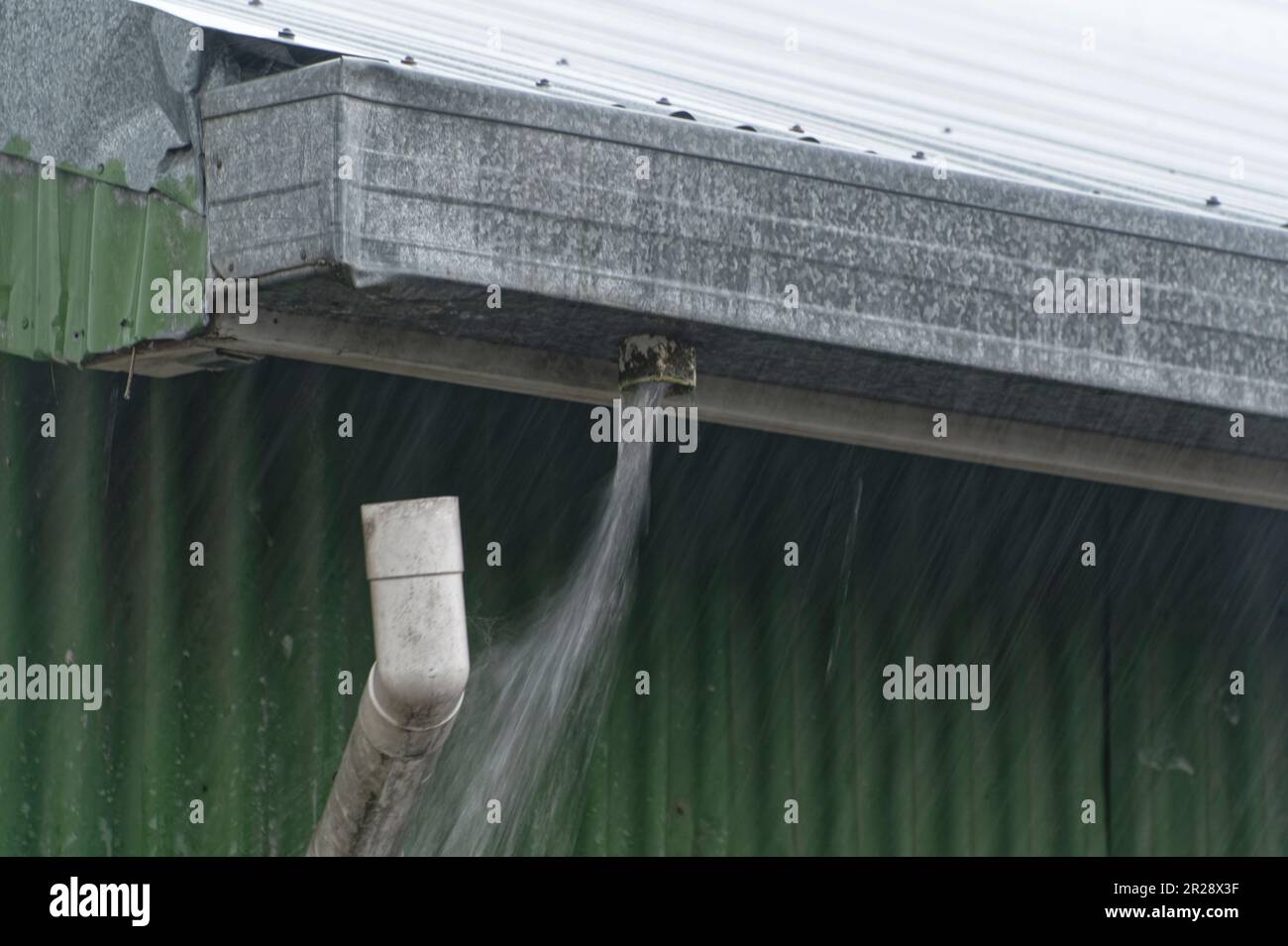 A down pipe has detached from the gutter it is meant to be draining, so ...