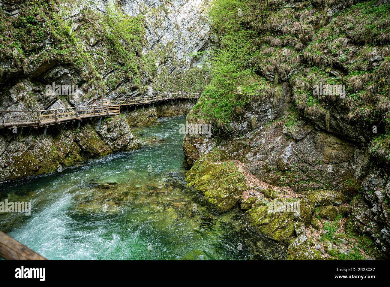the vintgar gorge in Solvenia, a nature park with waterfalls and green ...