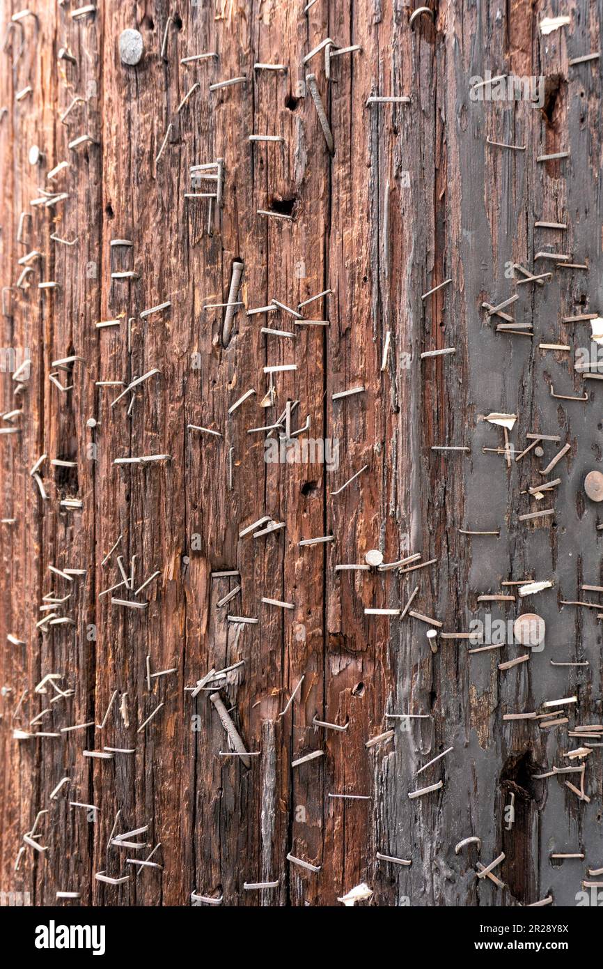 Telephone Pole Texture