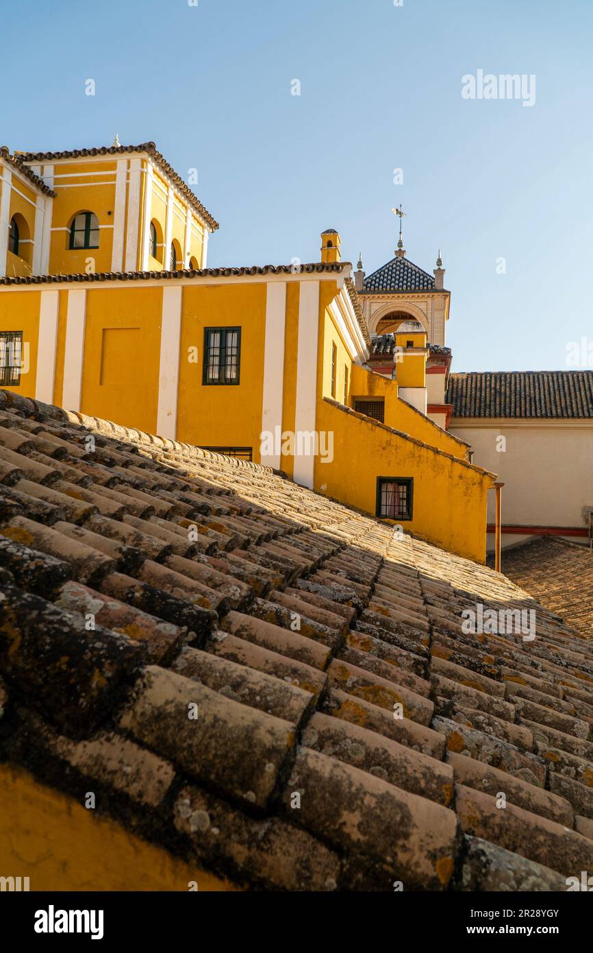 Seville spain yellow background hi-res stock photography and images - Alamy